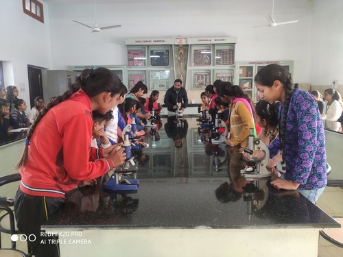 Advanced Zoology Laboratory – Practical Animal Studies & Research
